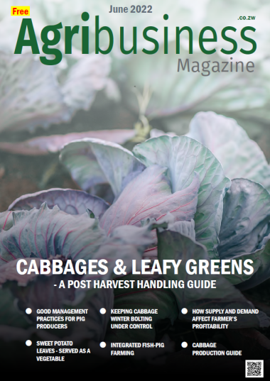 LMAC Zimbabwe Home Page